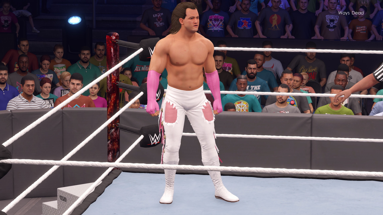 ProWrestlingMods.io - Enhance Your Game